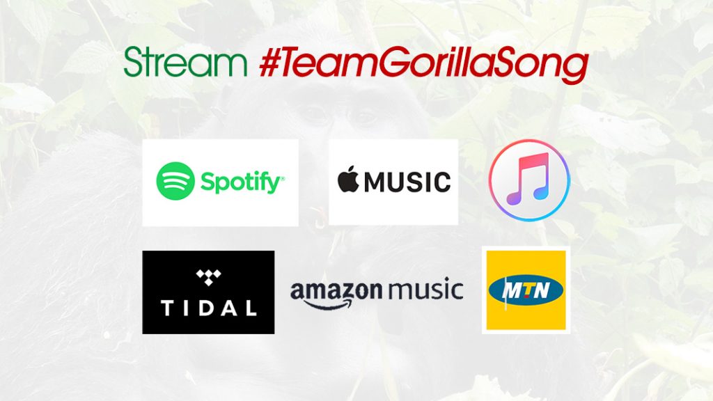 Listen to Team Gorilla Song by Gasuza – Gorilla Conservation Coffee