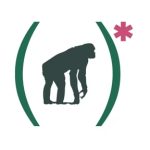 Protect Great Apes From Disease – Gorilla Conservation Coffee